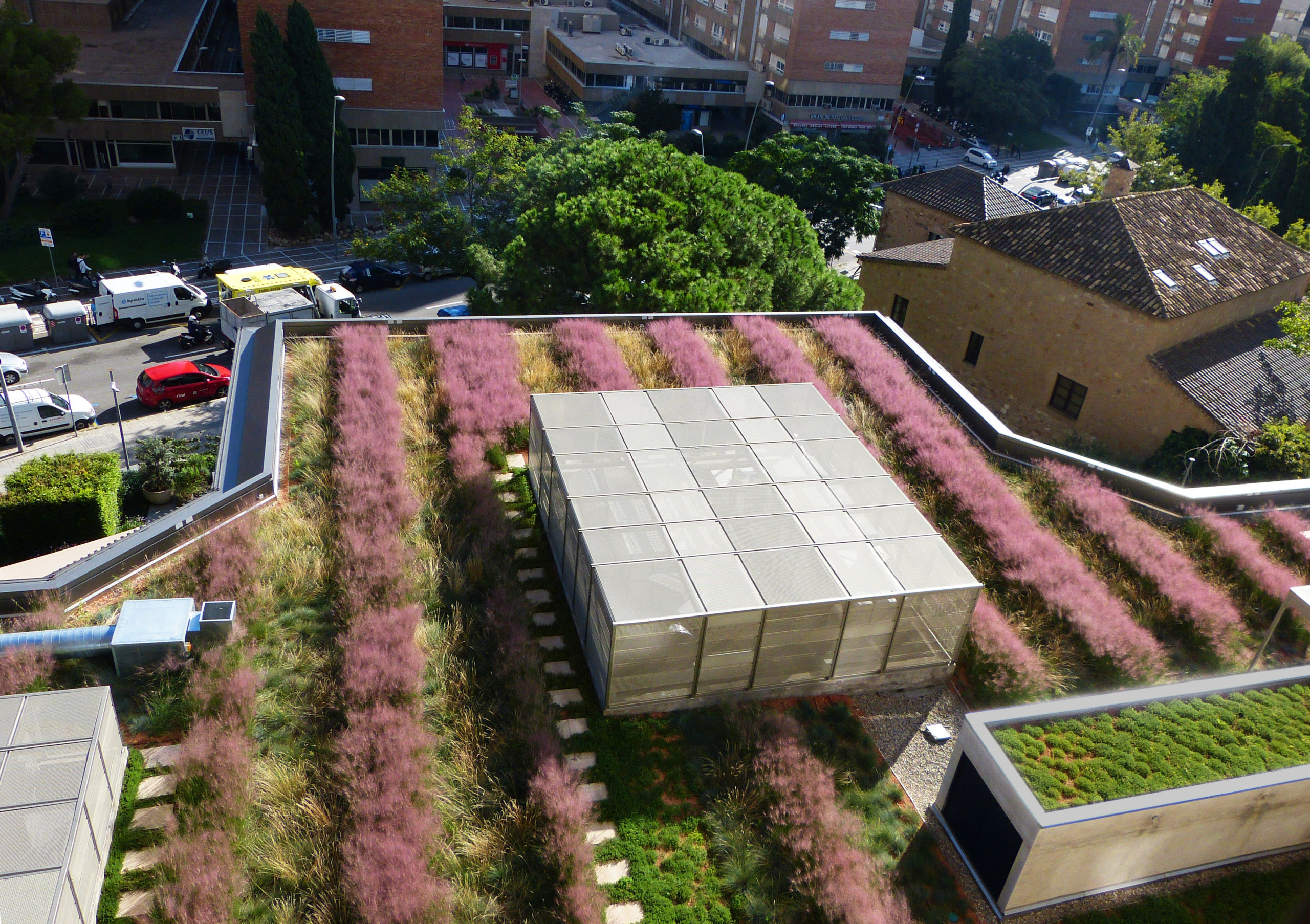 Advantages of green roof buildings - jordipietx.net